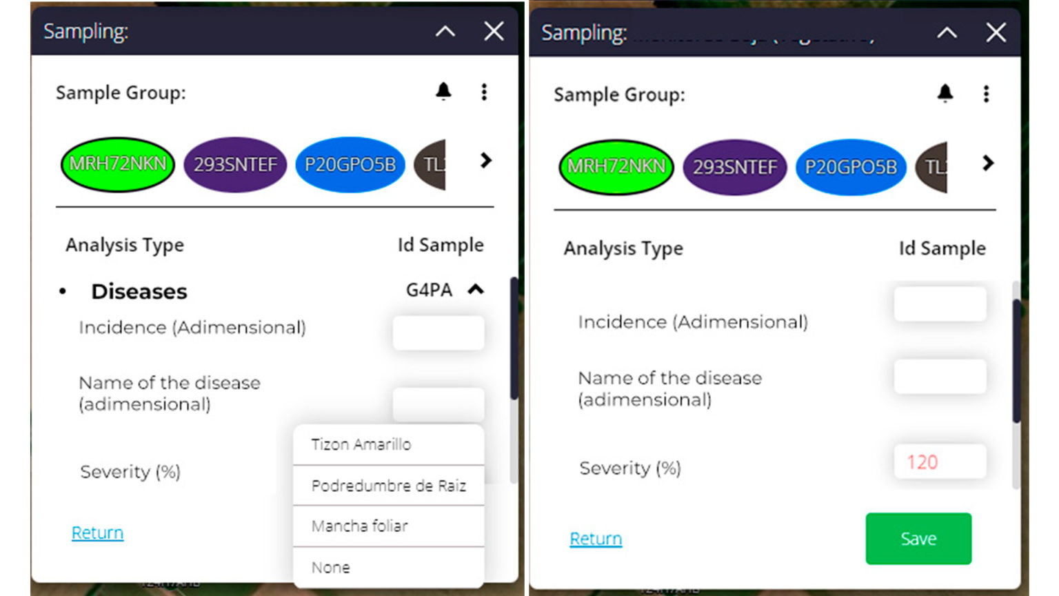 How to Create a Sampling Template for Your Users? - Auravant